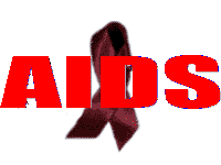 Austria, enorme fiocco rosso orna municipio Vienna - Gay.it